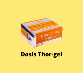 Gel conductivo THOR GEL – COPORACION LYN SAC